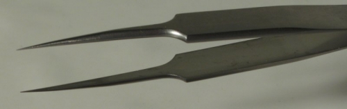 Tweezers | SPI Supplies
